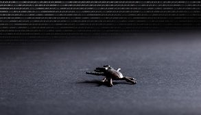 Microsoft Discovers Nimbuspwn Privilege Escalation Vulnerability on Linux Systems Granting ...