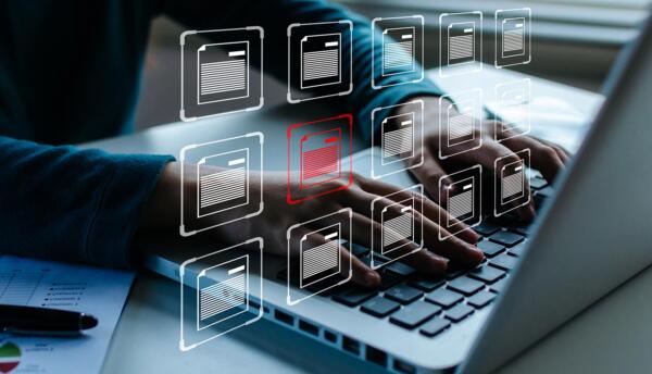 Months-Long Data Breach Leaks FEMA and Customs and Border Protection ...